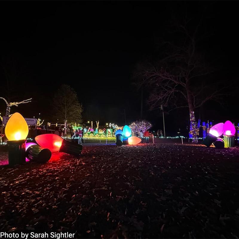 6ft RGB GeoGiant C9 Bulb – S4 Lights